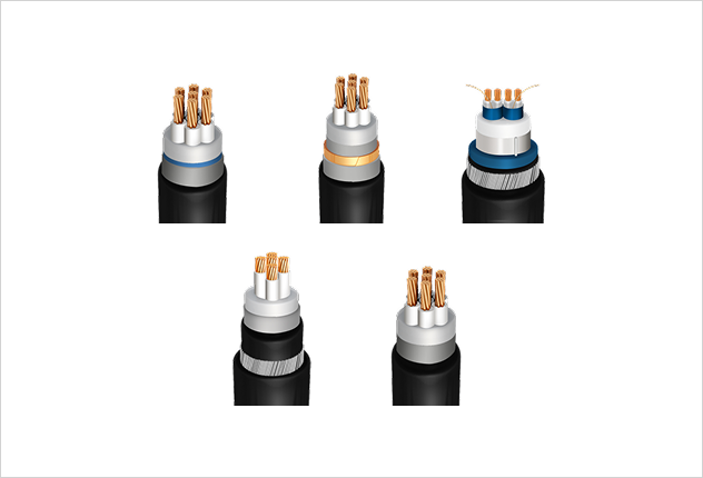 ILJIN Electric